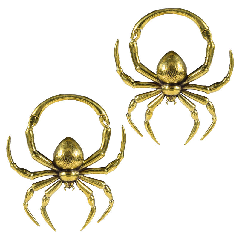 Spider Ear Hangers | Spider Ear Weights – Arka