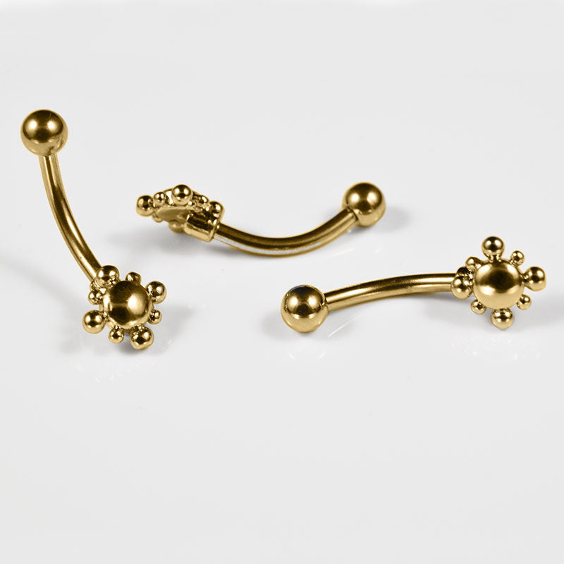 Curved Barbell with Beaded Sun in Gold, for Eyebrow, Rook, Daith, Helix ...