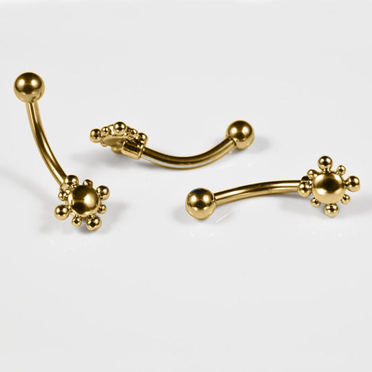 Curved Barbell with Beaded Sun in Gold, for Eyebrow, Rook, Daith, Helix ...